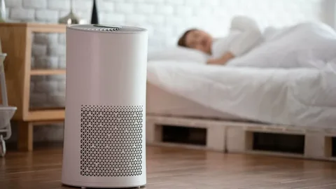 Top AC Air Purifier Features to Expect in 2025 - SmokyBestAC
